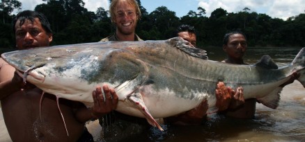 The Giant Catfish That Eat Humans - KnowledgeNuts.com