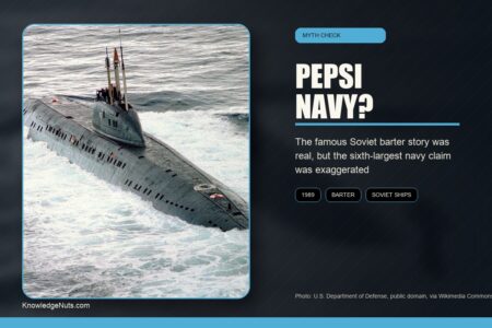 Did Pepsi Own the Sixth-Largest Navy? No, It Was a Scrap-Bound Soviet ...